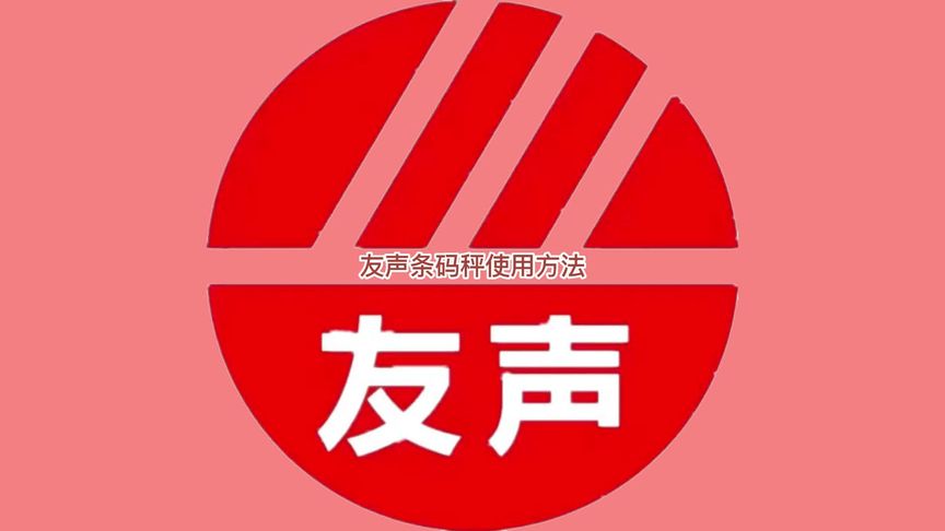 #友声电子秤 使用方法,#友声条码秤 TM系列打印方法和编辑店名