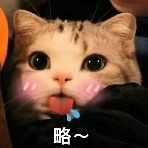鹏鹏老师啦 