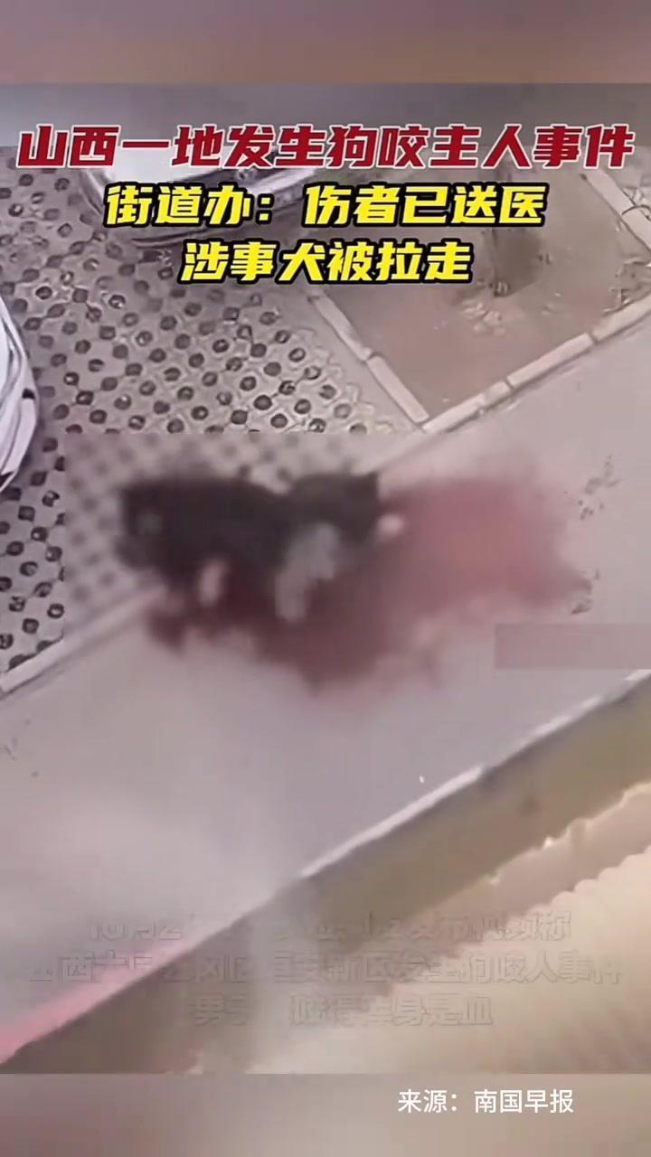 山西一地发生狗咬主人事件。