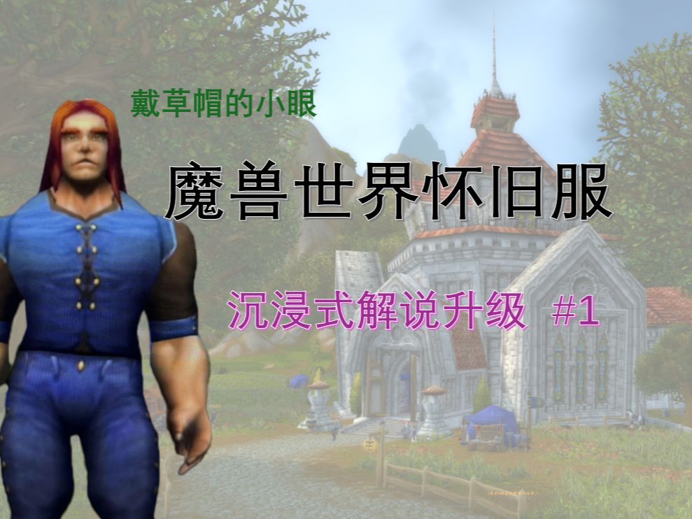 《魔兽世界怀旧服》沉浸任务升级解说-1-北郡修道院 人类圣骑士再出发