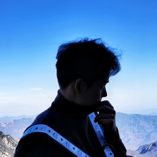 大刘De软件测试日常 