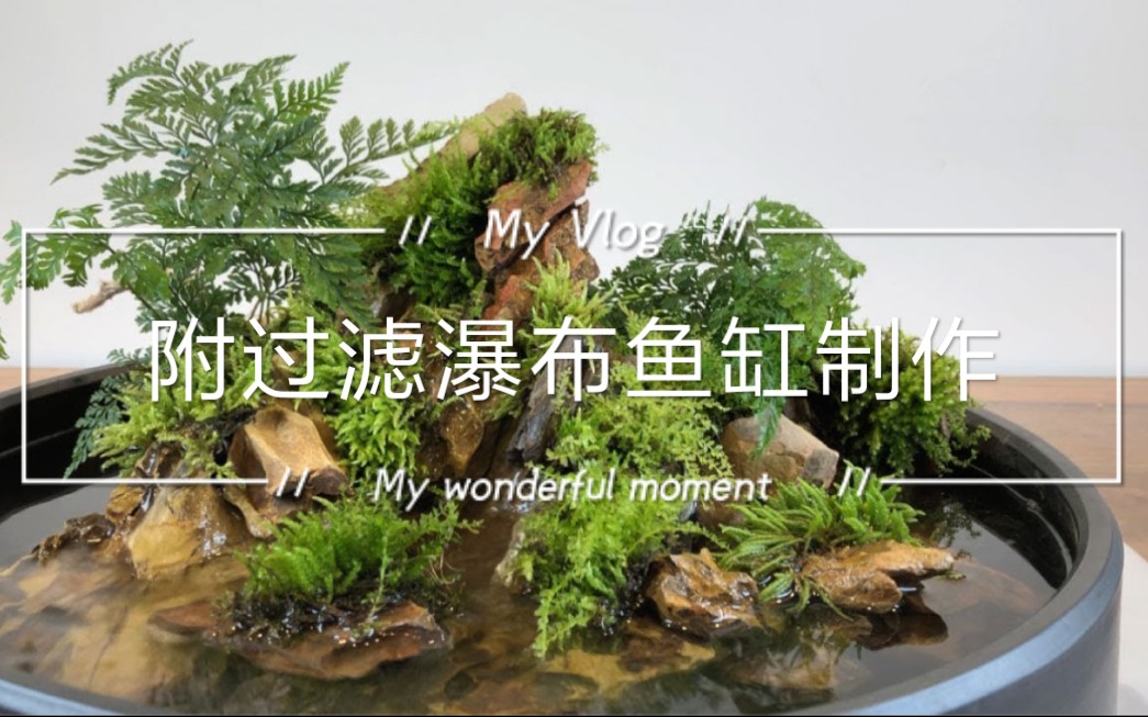 【鱼缸】带瀑布自制过滤系统的鱼缸,手工制作哦