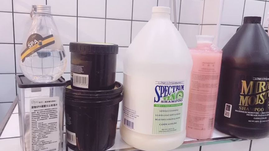 #洗护好物 #创作灵感 #宠物 #大同宠物店 #宠物洗护