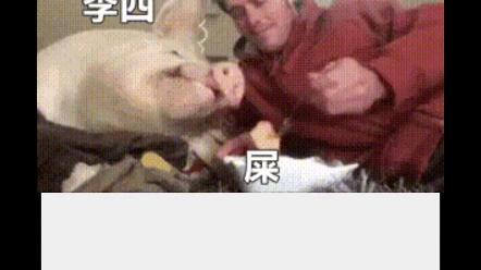 教大家一键生成恶搞喂猪表情包,搞笑表情包