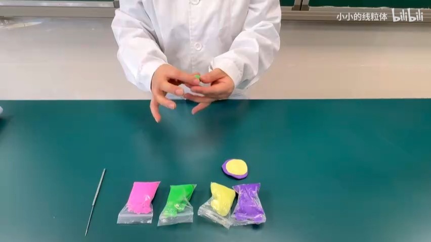 8-制作动物细胞模型