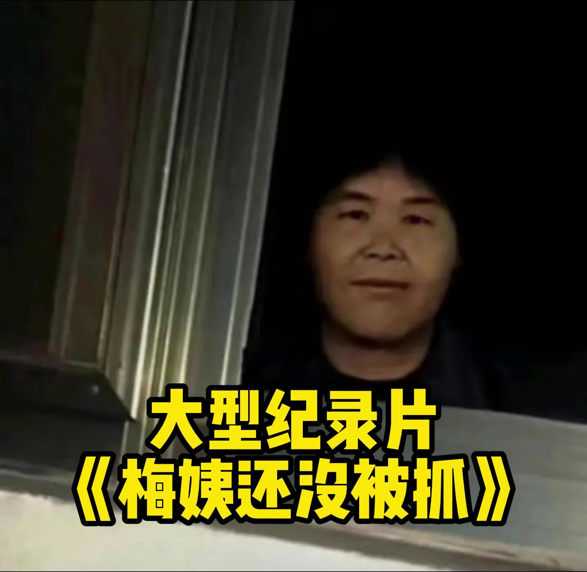 温馨提示:梅姨还没被抓,提高警惕 #大型纪录片 #梅姨 #逮捕 #人贩子 #...