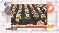 利五脏,健脾胃,来看看是什么中药材有这么多作用