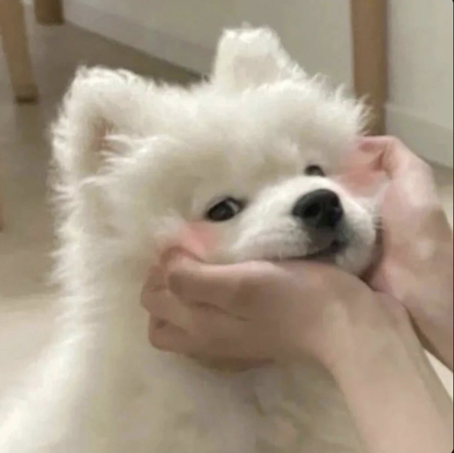小7努力奋斗 