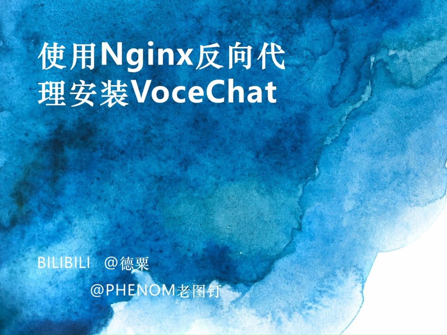 Nginx反向代理安装vocechat