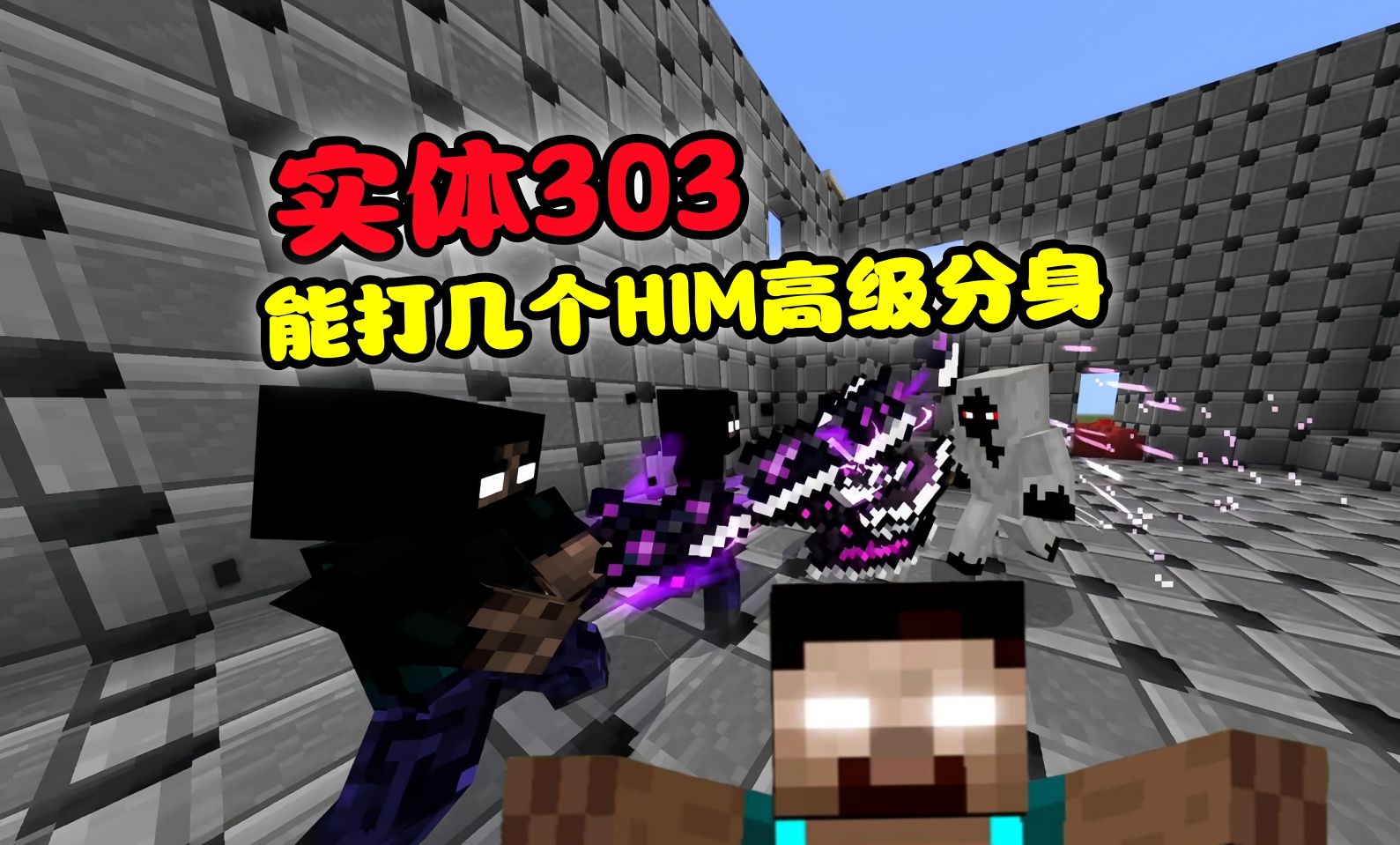 我的世界:实体303能打几个HIM高级分身?