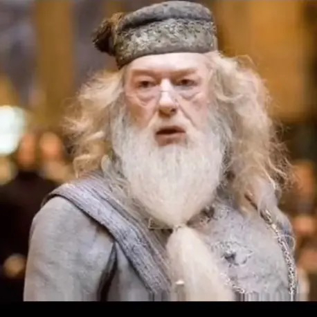 麦格邓布利多斯内普 