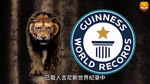 11262. 世界上最大的狮子