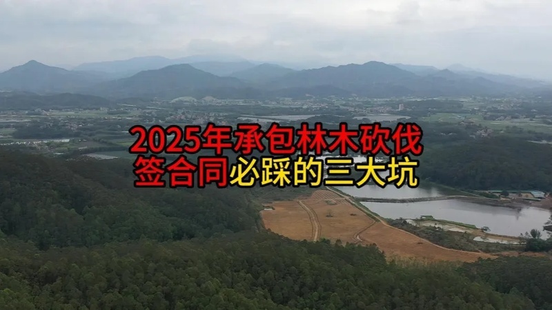 2025年承包林木砍伐签合同必踩的三大坑