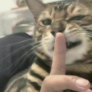 小狗大王lolm 