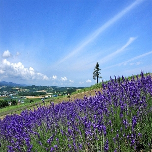 梦想照进现实啊 