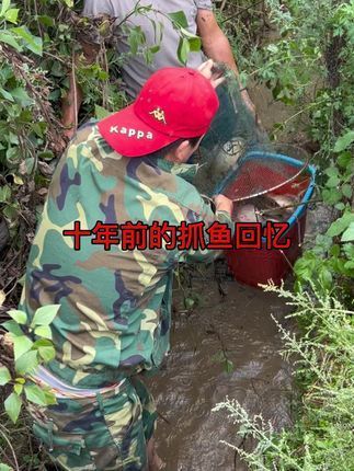 十年前的稻田沟里抓鱼回忆