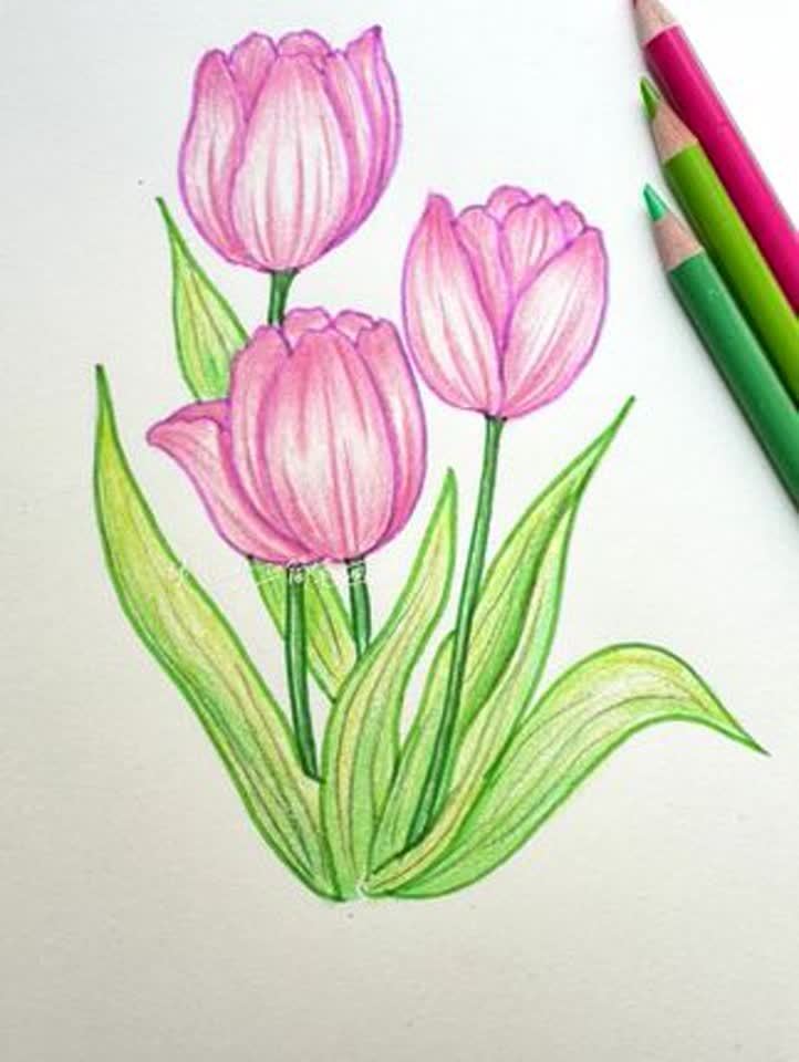 用椭圆教大家简单画郁金香 超详细的教程,不怕你学不会#花朵简笔画#...