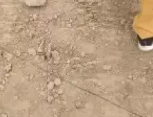 摇表接地电阻测试仪