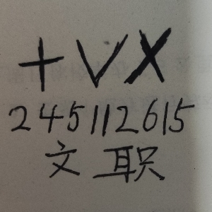 蚊子紫料see头象 
