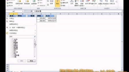 Excel2010 灵活筛选数据