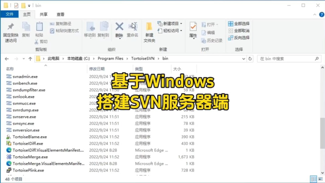 windows搭建svn版本服务器非常简单#程序员 #svn服务器