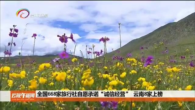 全国668家旅行社自愿承诺“诚信经营” 云南8家上榜