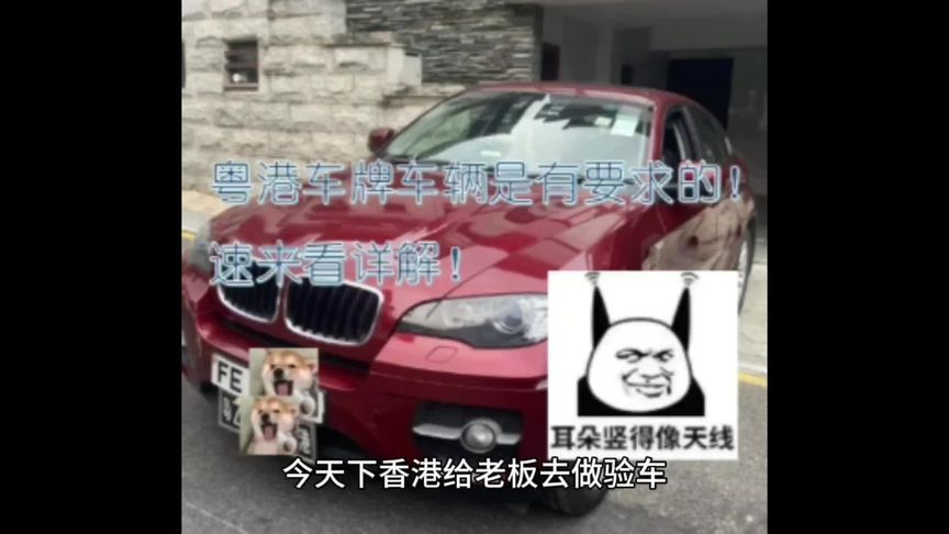 #粤港车牌 #两地牌 #fv车牌 #粤Z #中港车
