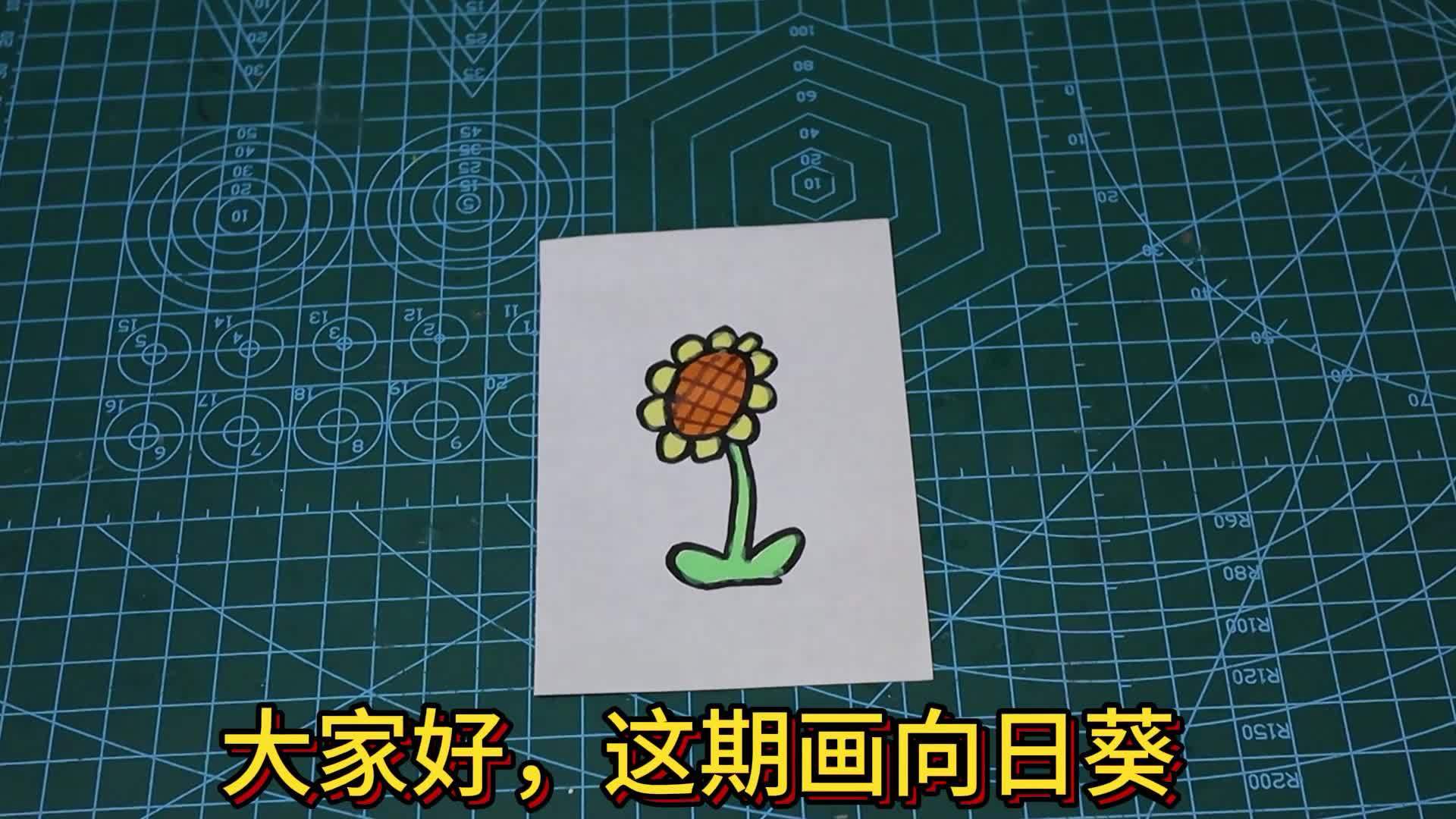 怎么画花的简笔画简单漂亮