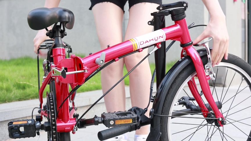 DAHON 大行折叠车2021 HAT060 / Dream D6 20寸自行车短视频