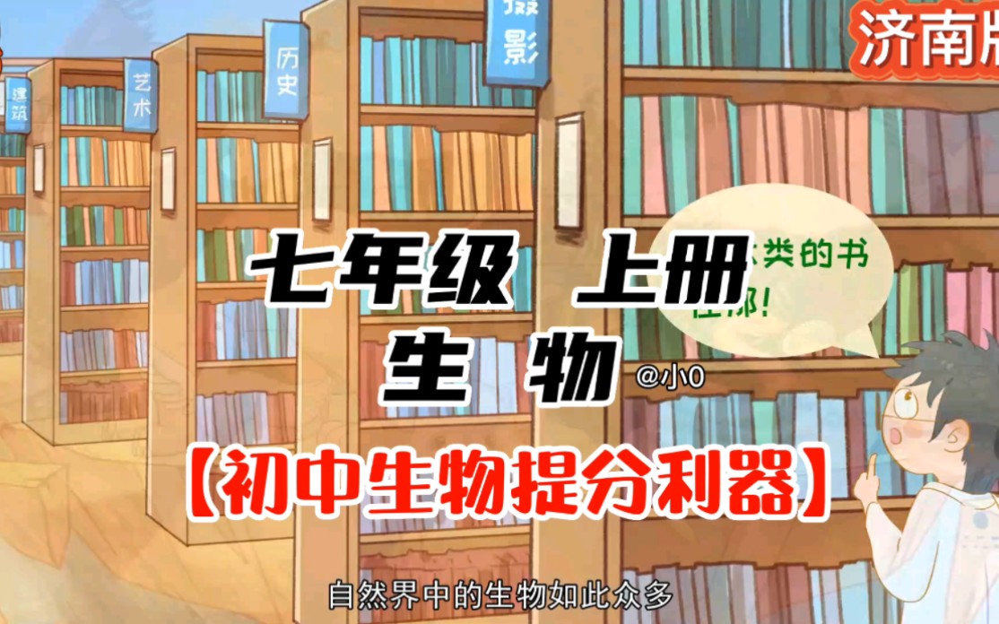 七上生物|趣味动画版《生物的分类单位》