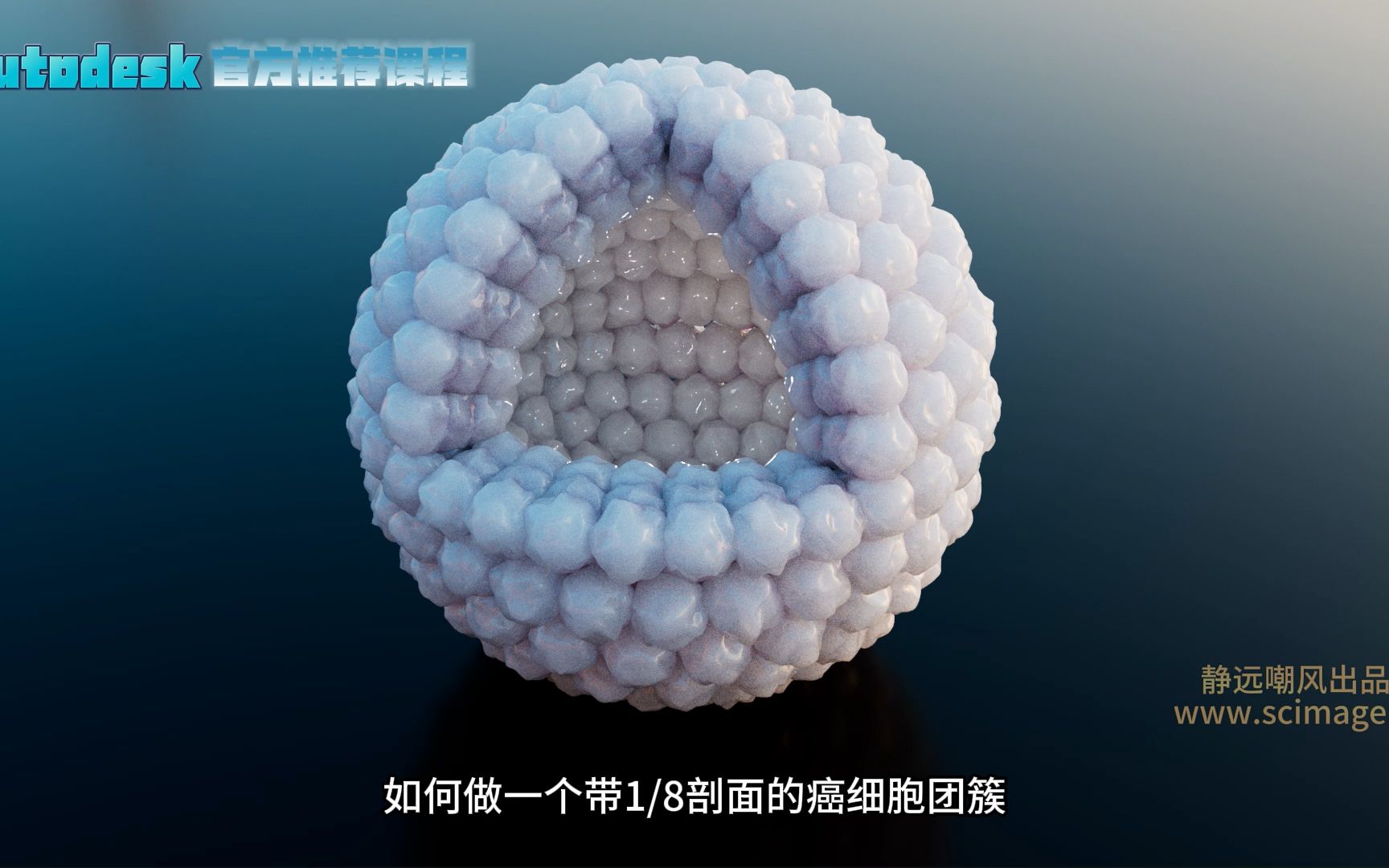 【SCI科研制图教程】如何用3dsmax制作八分之一剖面的癌细胞团簇(...