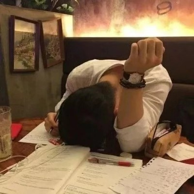 努力工作的小羊羔 