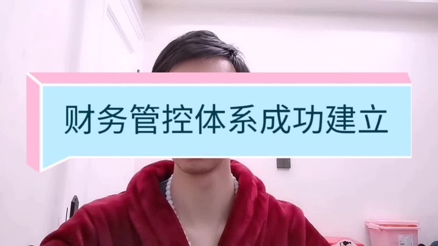 一级棒的财务管控体系实施落地