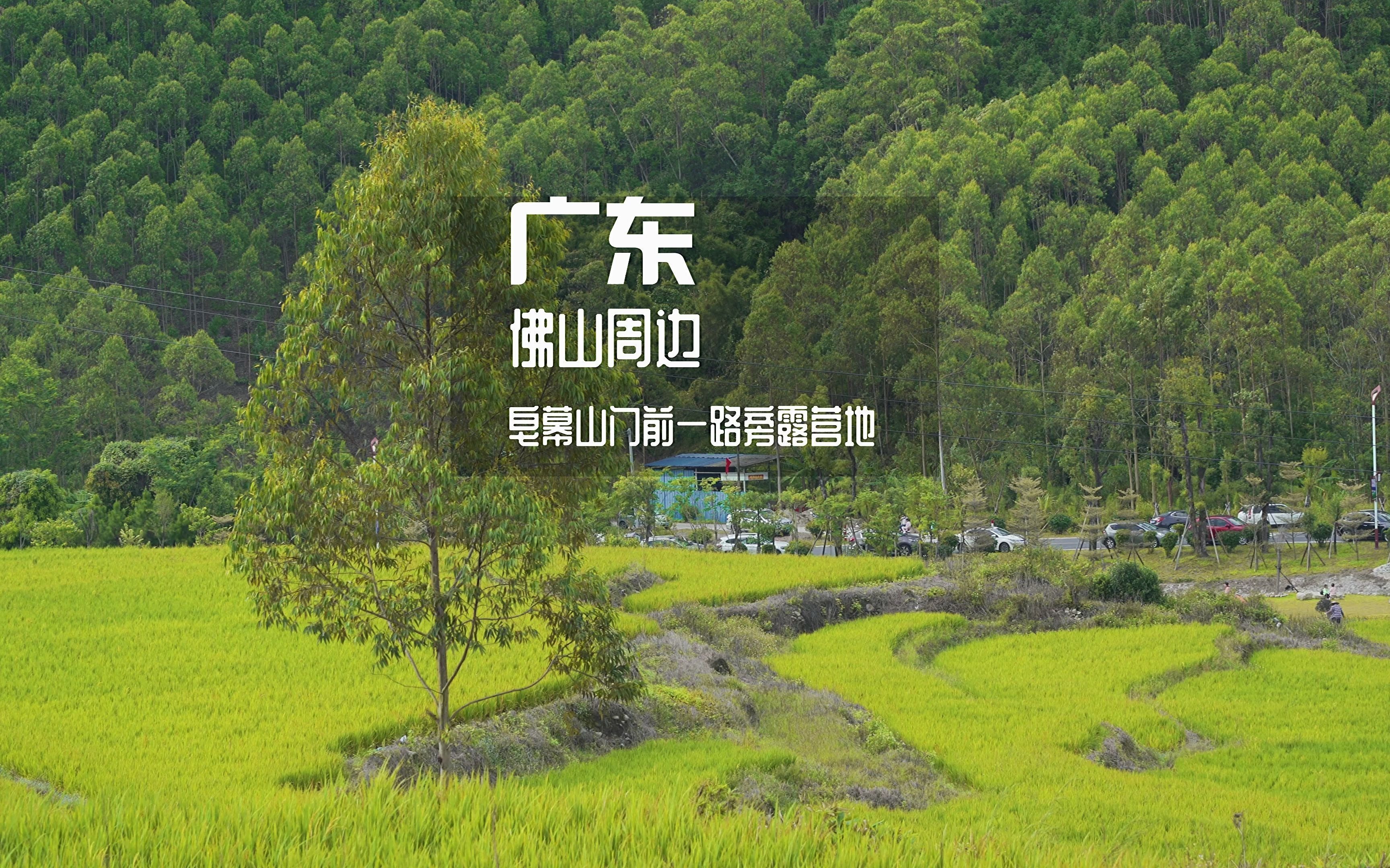 佛山皂募山 大门前约2公里处路旁一梯田、遛娃、野餐、玩水、露营地!...