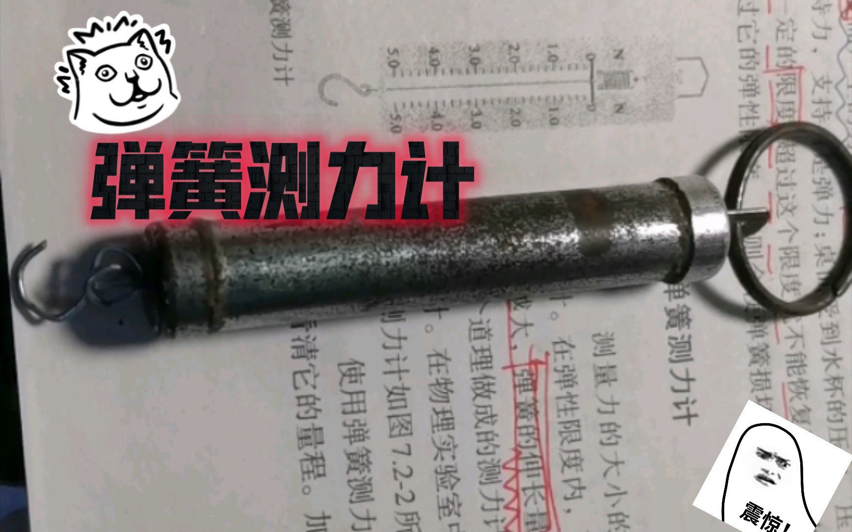 弹簧测力计:测量力量的神器!初二牲试玩
