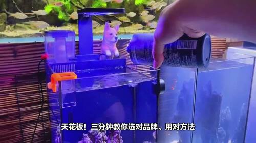 鱼缸水质浑浊有救了!这款硝化细菌用过的都说好