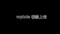 2012海宁男士真皮皮衣男绵羊皮外套皮夹克
