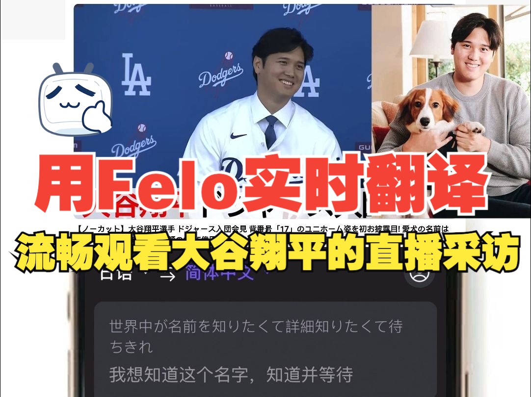 好用的翻译app推荐|流畅翻译大谷翔平的采访!(话说大谷跟狗狗长得...