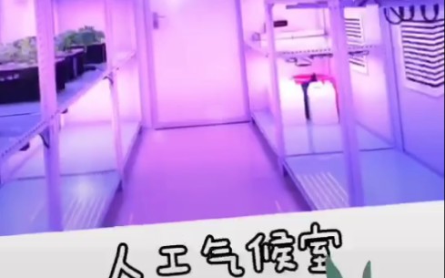 ...模拟高手 根据不同植物种类、不同气候区域、不同场地状况,合理设计...