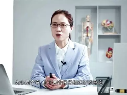 《人体系统解剖学》第3章、消化系统3、胃