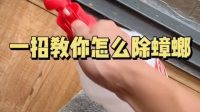 高效除蟑螂方法、亲手实操叫你怎么对付蟑螂