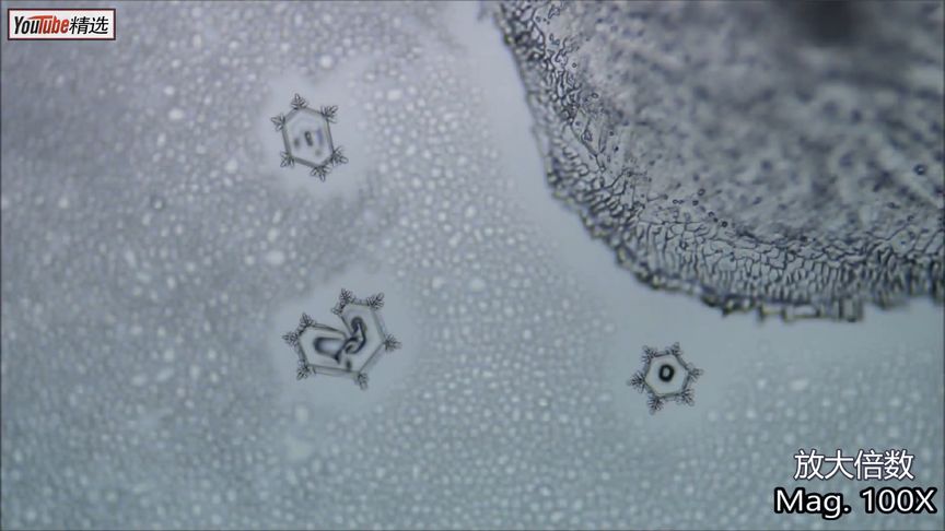 放大百倍,冰融化的过程到底是什么样的?