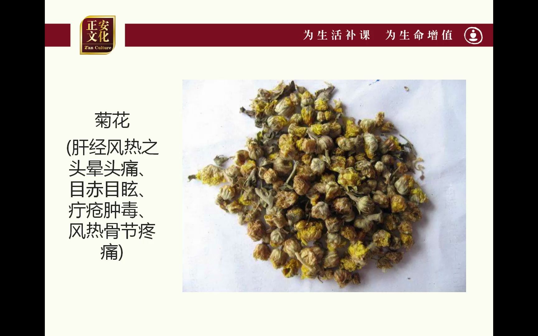 倪海厦老师弟子施合一经方药证学 4 解表药 09 菊花