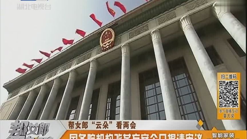 帮女郎“云朵”看两会:国务院机构改革方案提请审议 17日表决