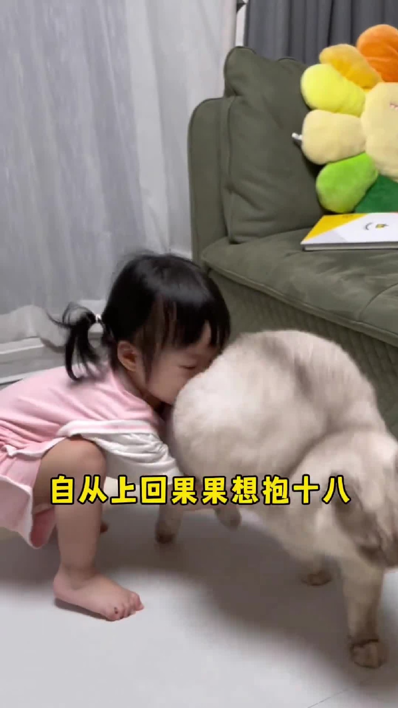 原来果果的想法很简单,她只是想好好照顾十
