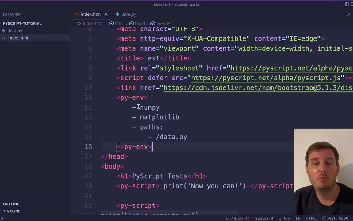 PyScript - Run Python in the Browser! THE END of JavaScript