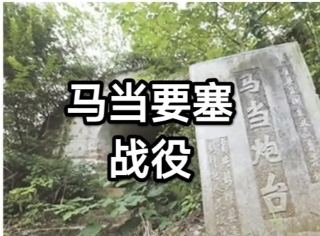 马当要塞战役(武汉会战)