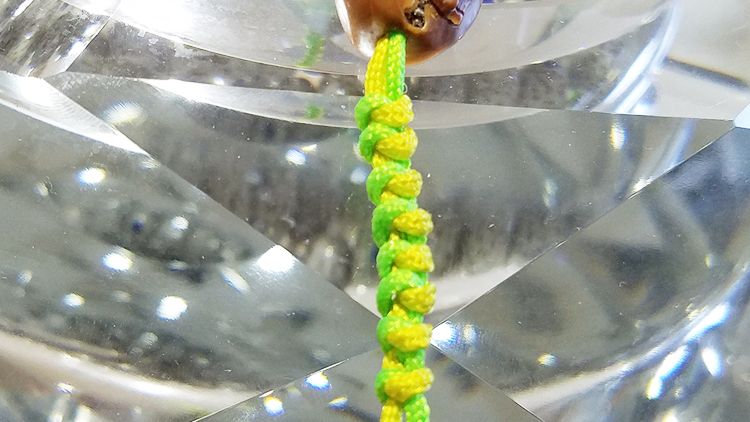 蛇结编法图解视频