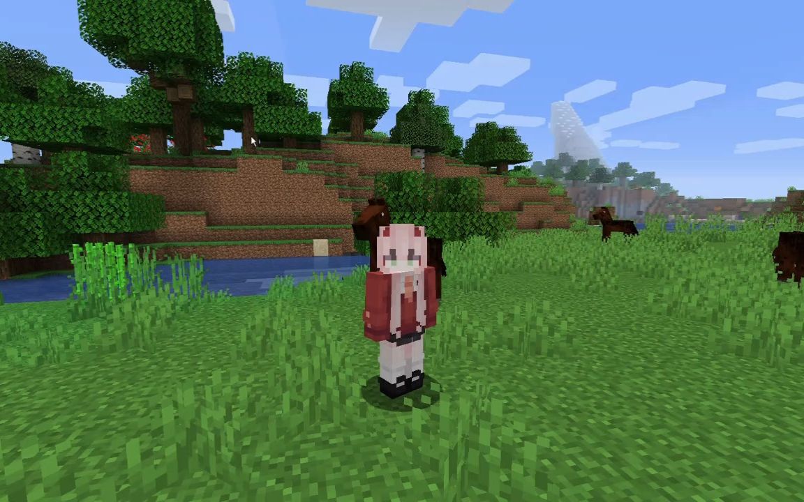 我的世界之jojo的奇妙冒险#1