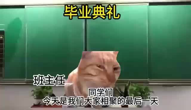 毕业典礼上的节目